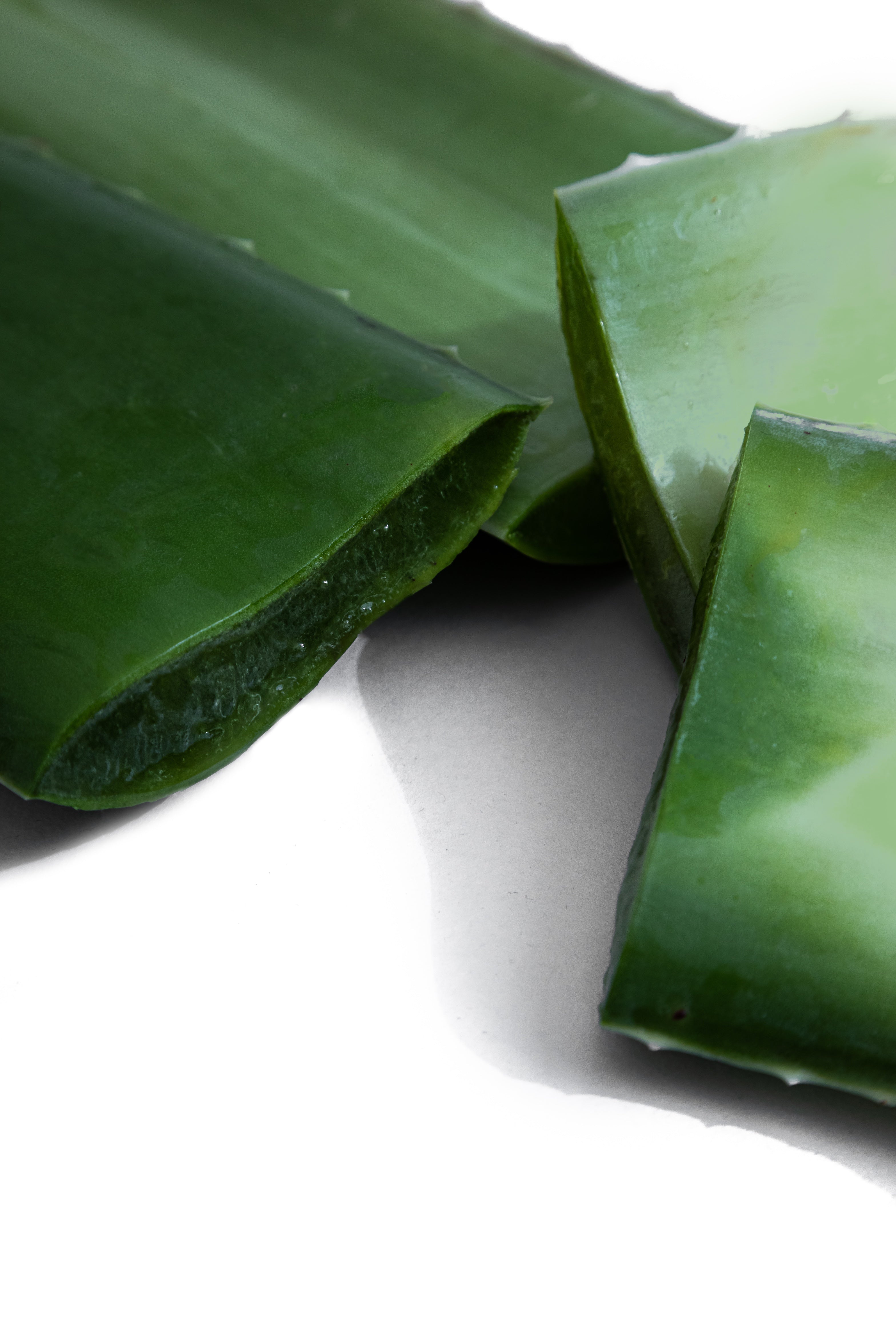The Benefits of Aloe – Aloe Attiva